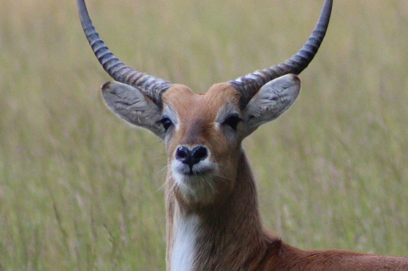 Gift Vouchers - Watatunga | Holidays In Norfolk