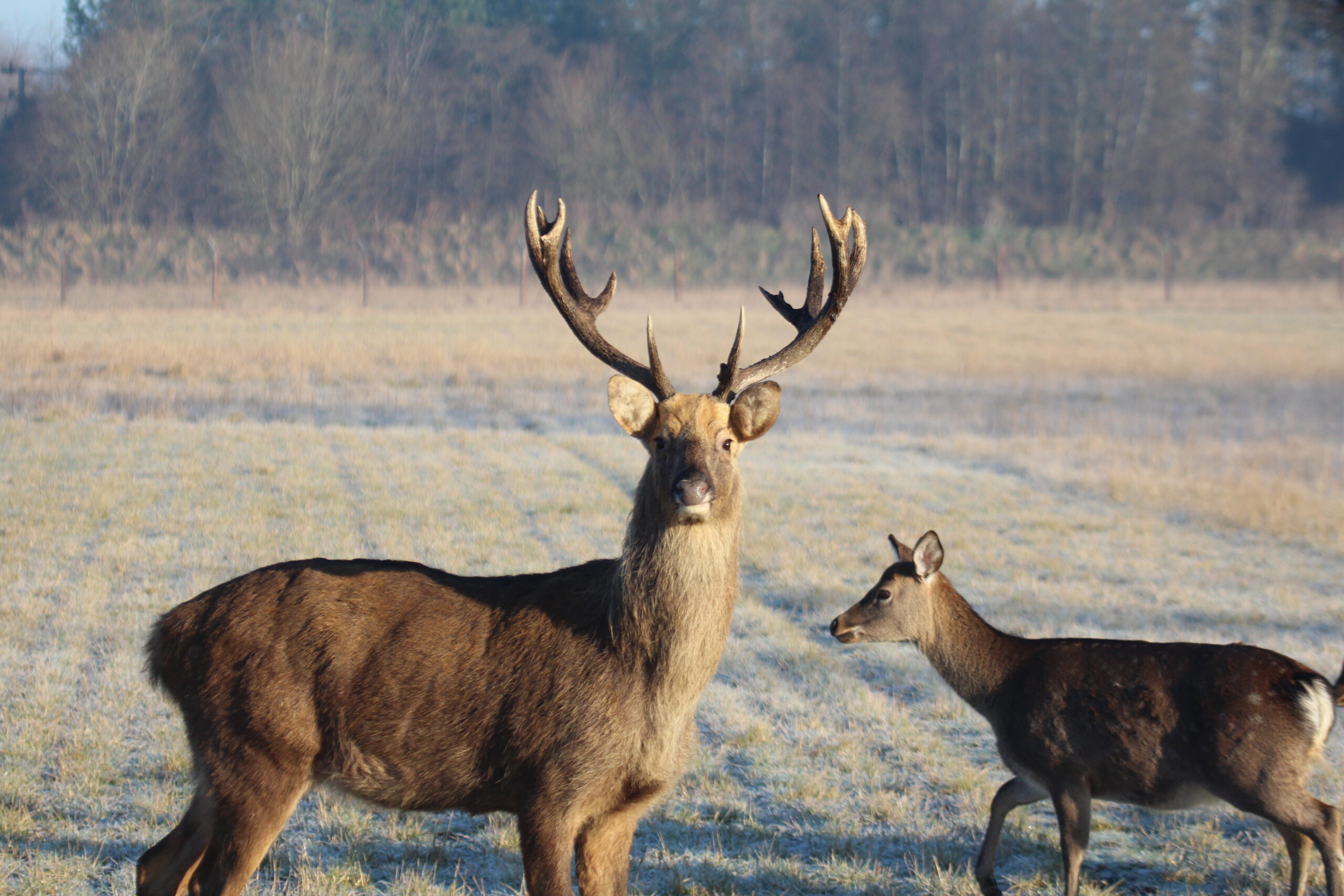 The Gift Of Nature - Watatunga | Holidays In Norfolk