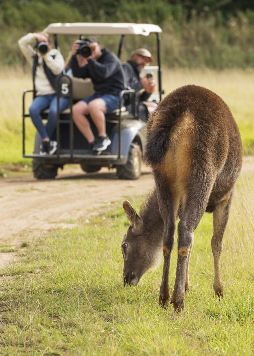 The Gift Of Nature - Watatunga | Holidays In Norfolk