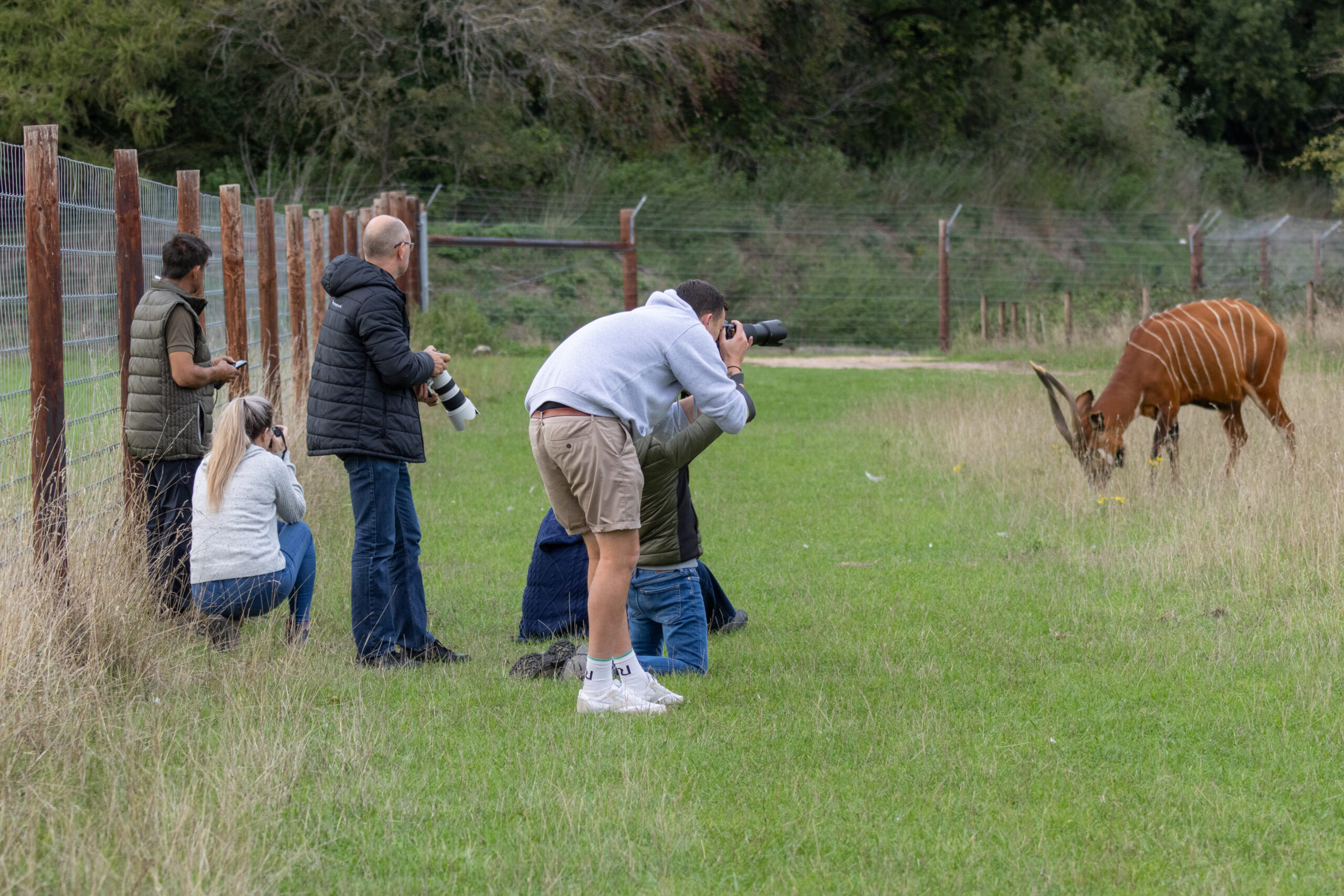 Experiences - Watatunga | Holidays In Norfolk