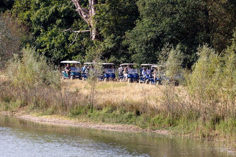 A Wellness View Of Watatunga - Watatunga | Holidays In Norfolk