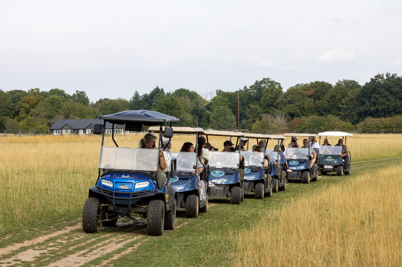 A Wellness View Of Watatunga - Watatunga | Holidays In Norfolk
