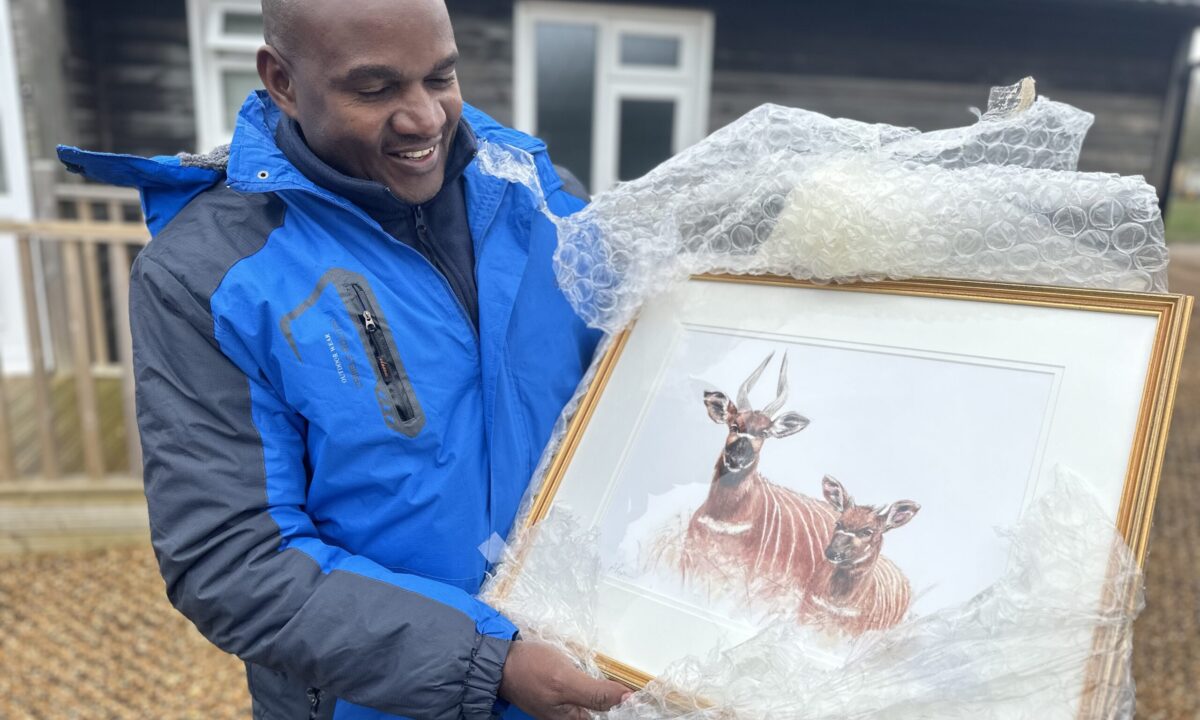 A Wild Wrap-Up! - Watatunga | Holidays In Norfolk