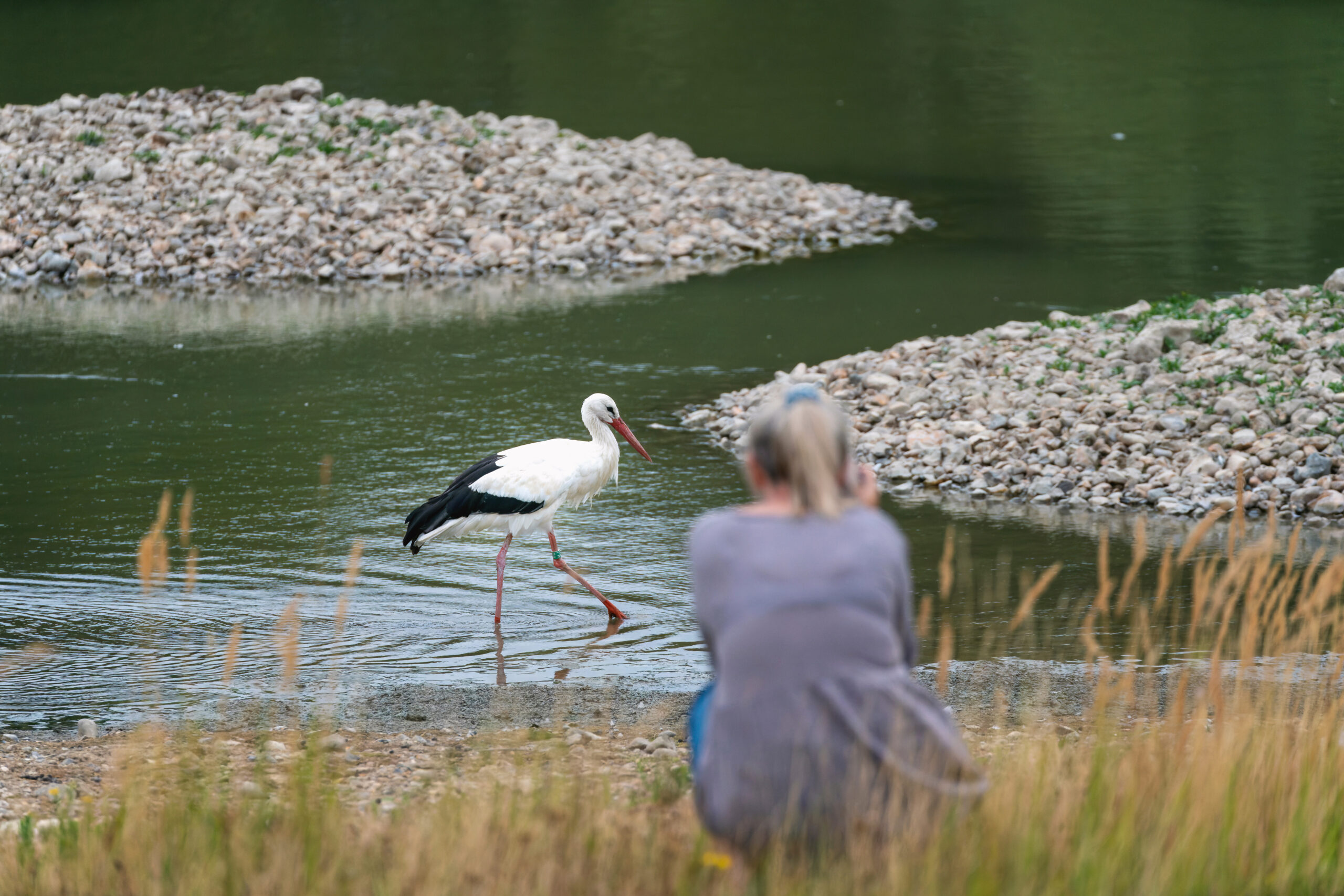 Calling All Photographers! - Watatunga | Holidays In Norfolk