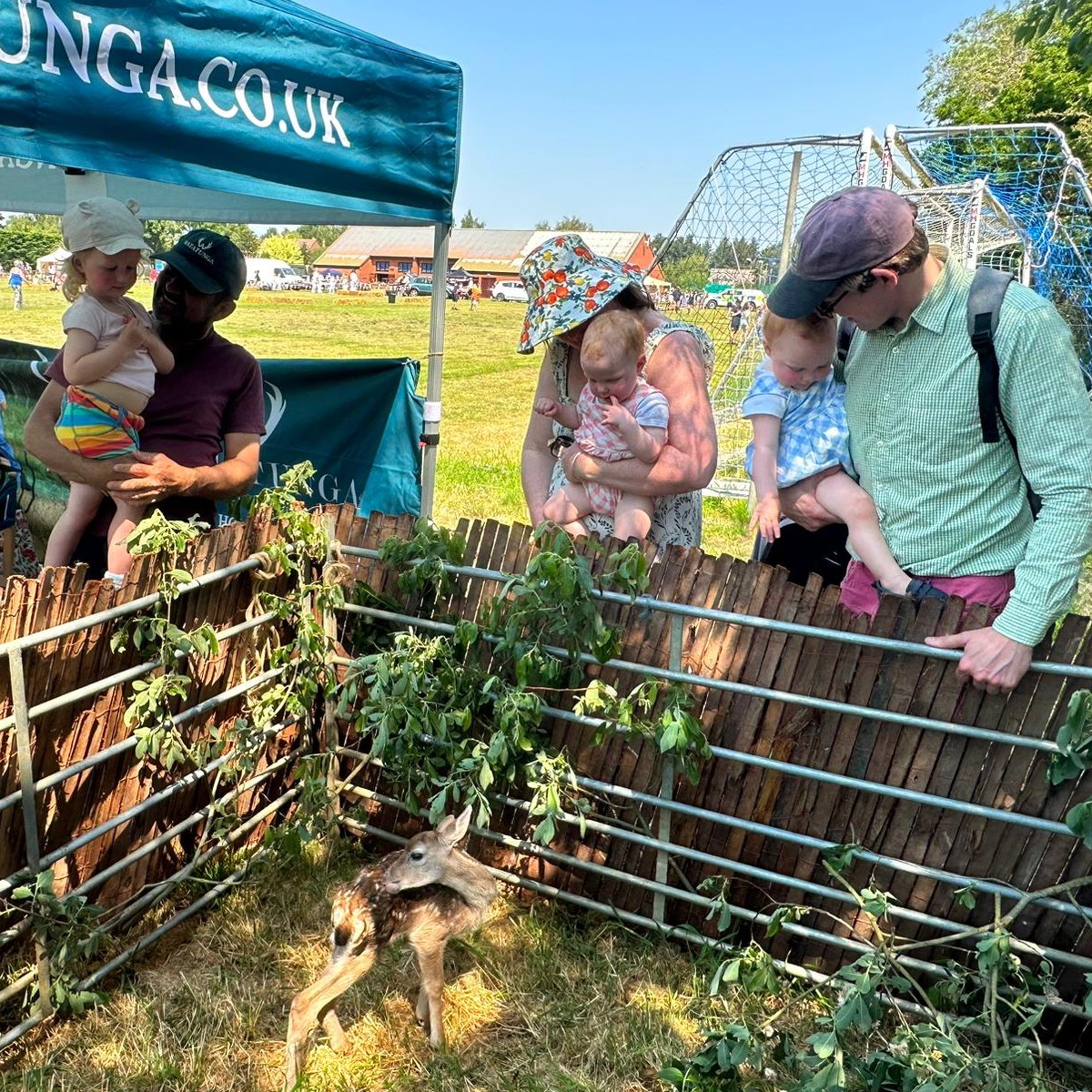 A Wild Wrap-Up! - Watatunga | Holidays In Norfolk