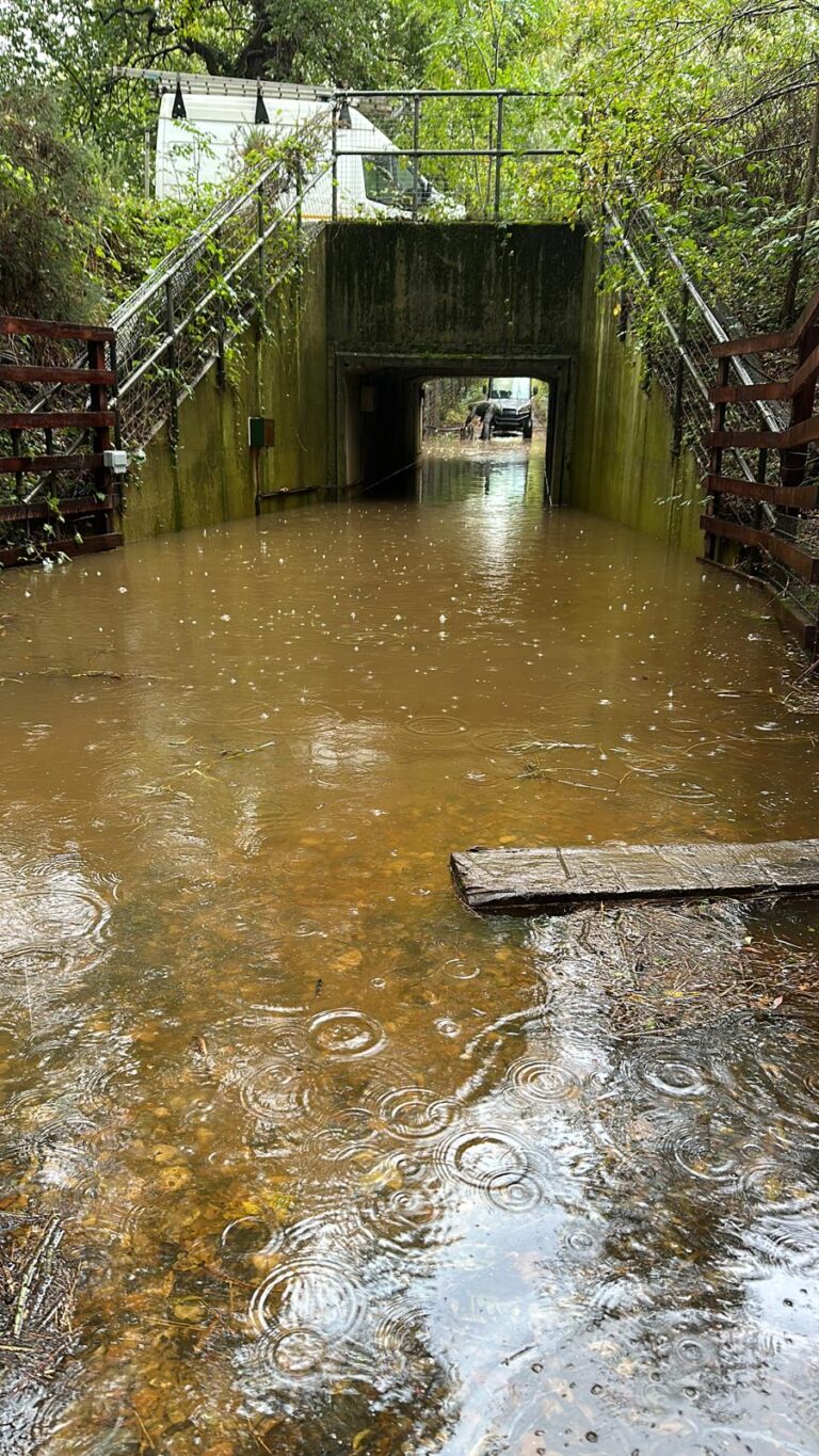 A Roundup Of The 2023 Season At Watatunga Wildlife Reserve! - Watatunga ...