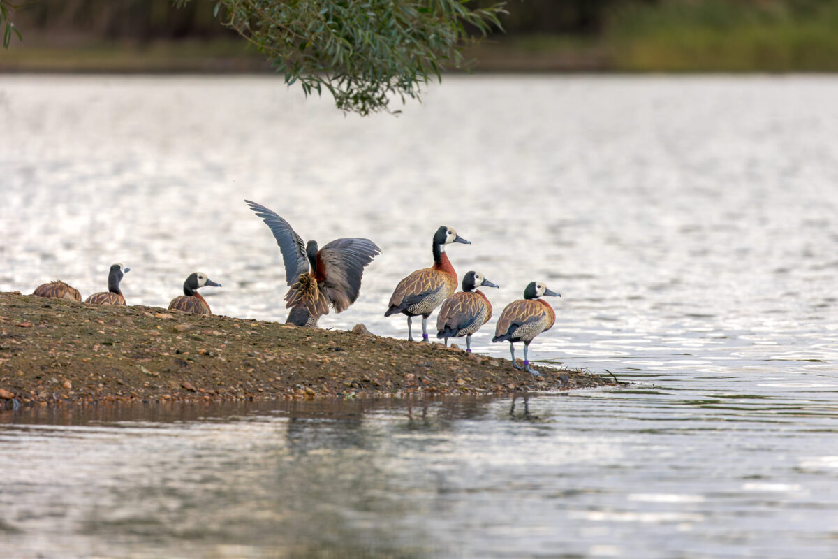 Tutored Photography Experience - Watatunga | Holidays In Norfolk