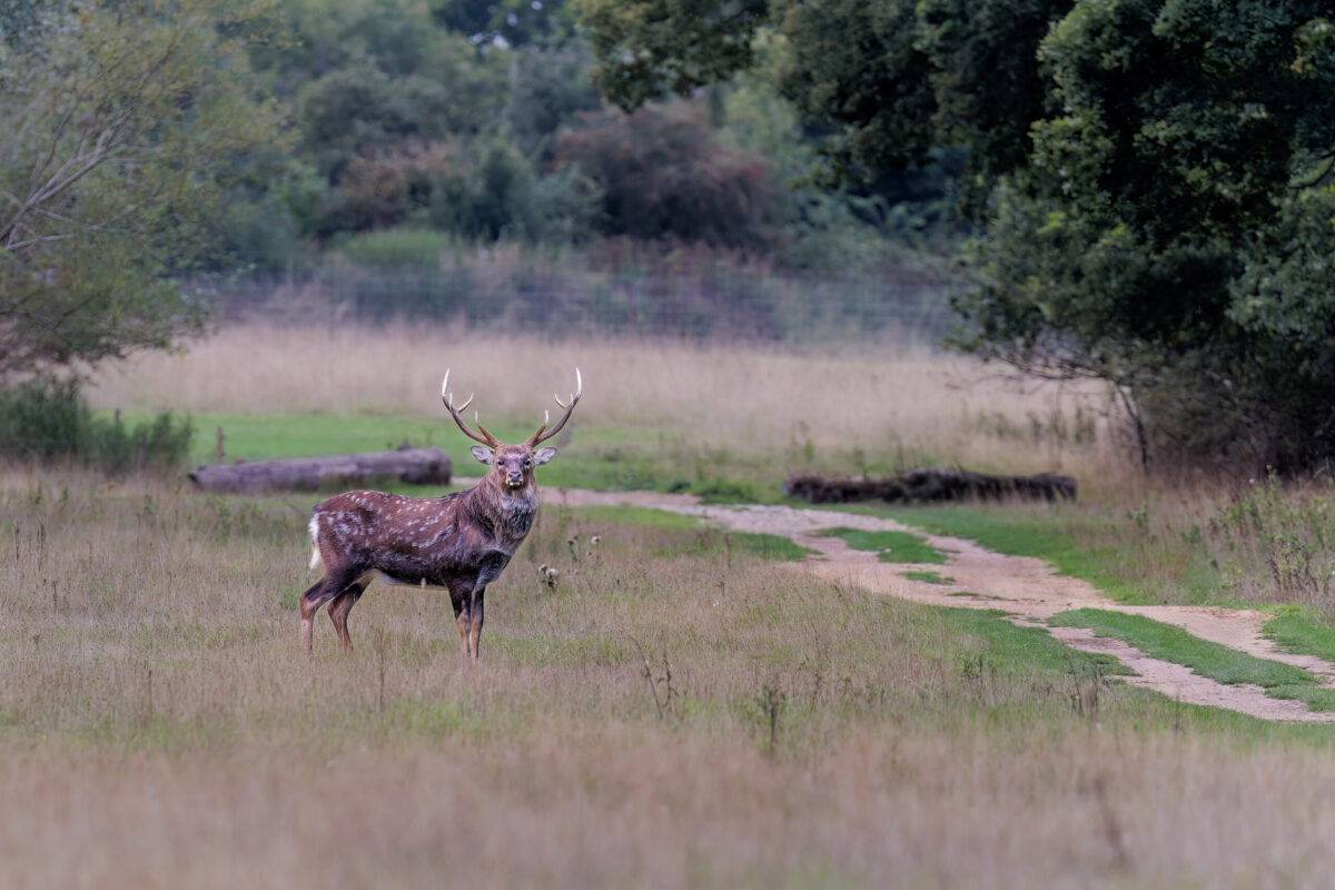 Tutored Photography Experience - Watatunga | Holidays In Norfolk
