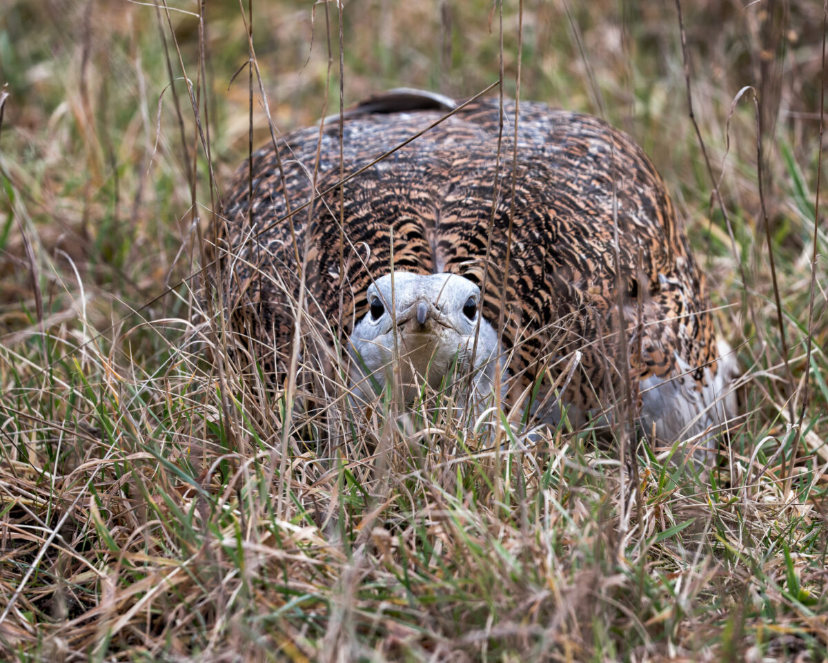 Tutored Photography Experience - Watatunga | Holidays In Norfolk